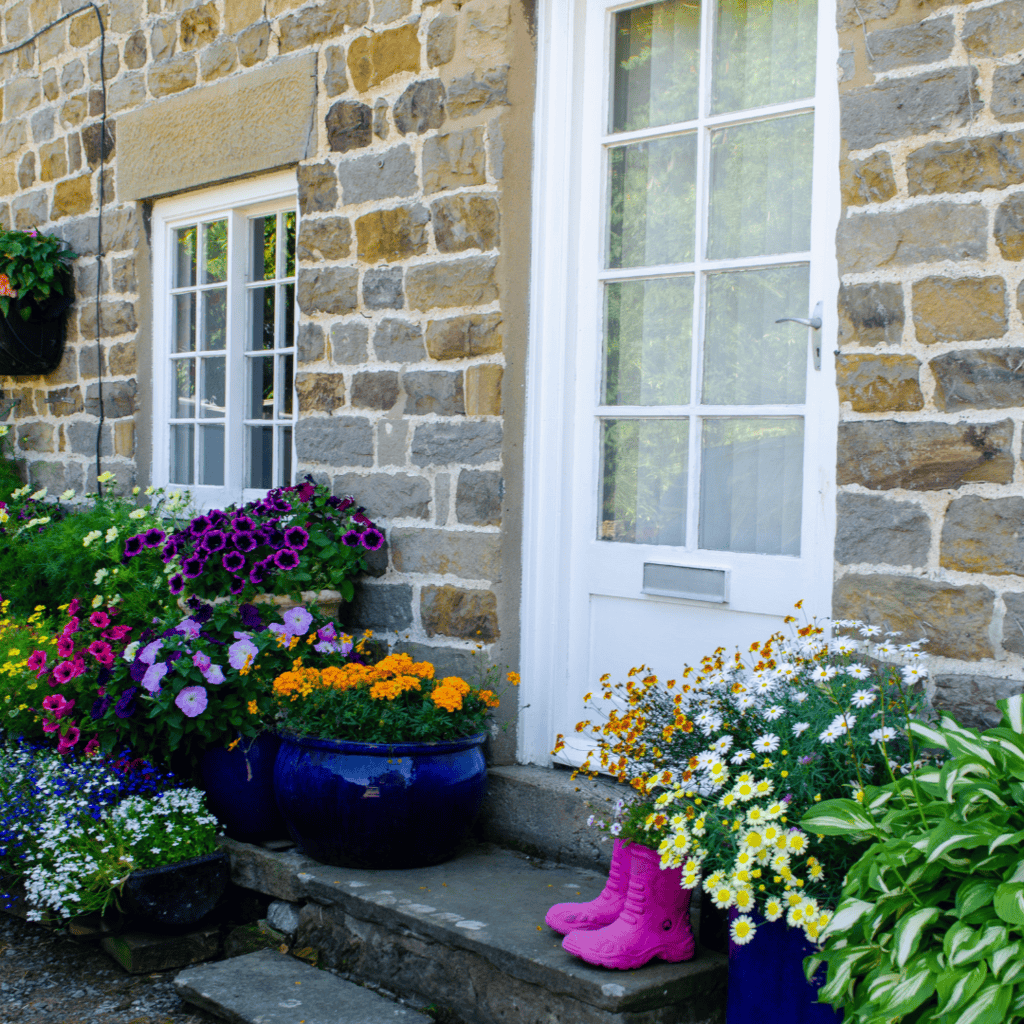 Elevate Your Curb Appeal: The Power of Plants with Impact - homestylematters.com