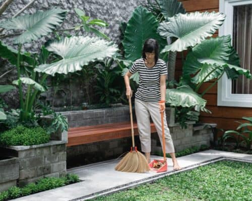 Outdoor Space: The Art of Yard Cleanup and Maintenance ...